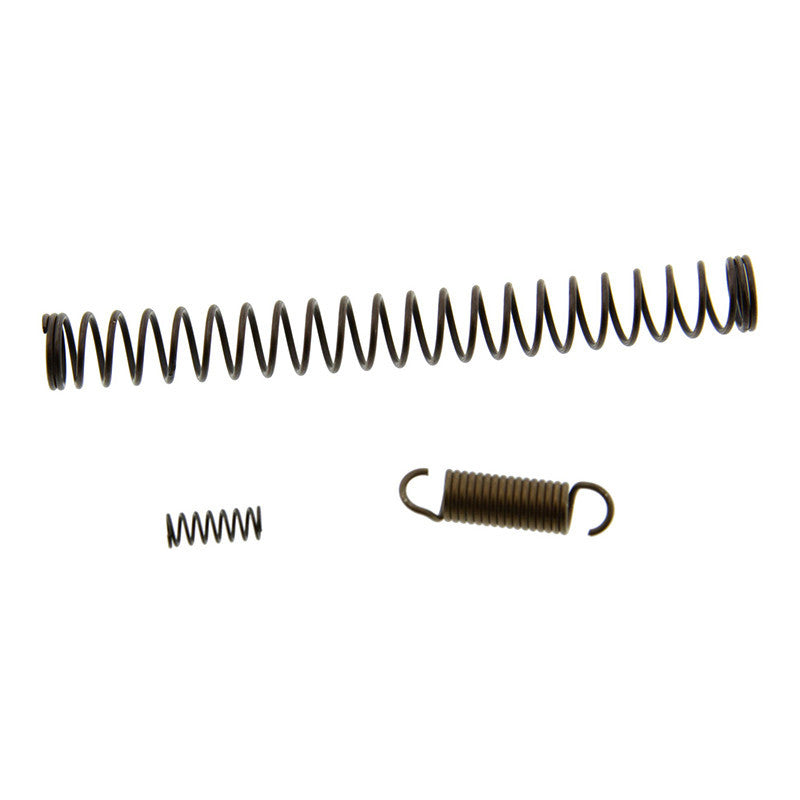 ZEV Technologies Competition Spring Kit – Black Box Customs